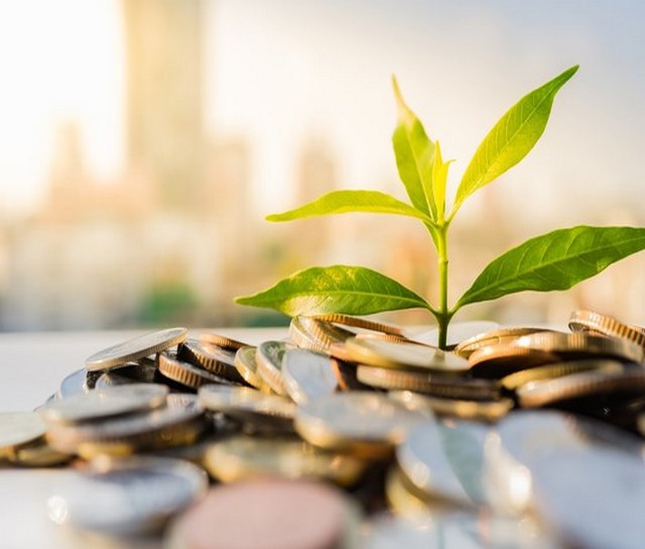 Academy - Investor-One